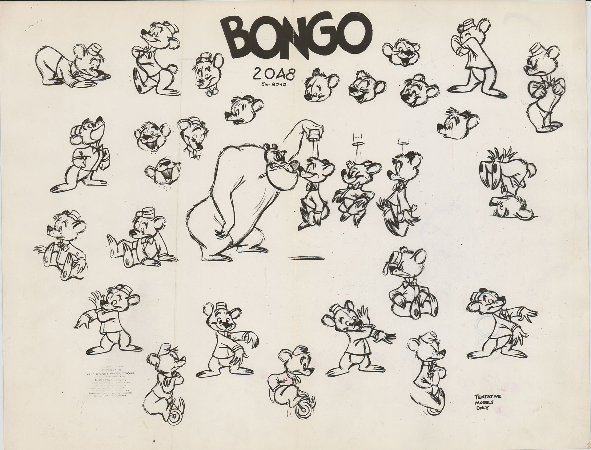 Bongo The Bear