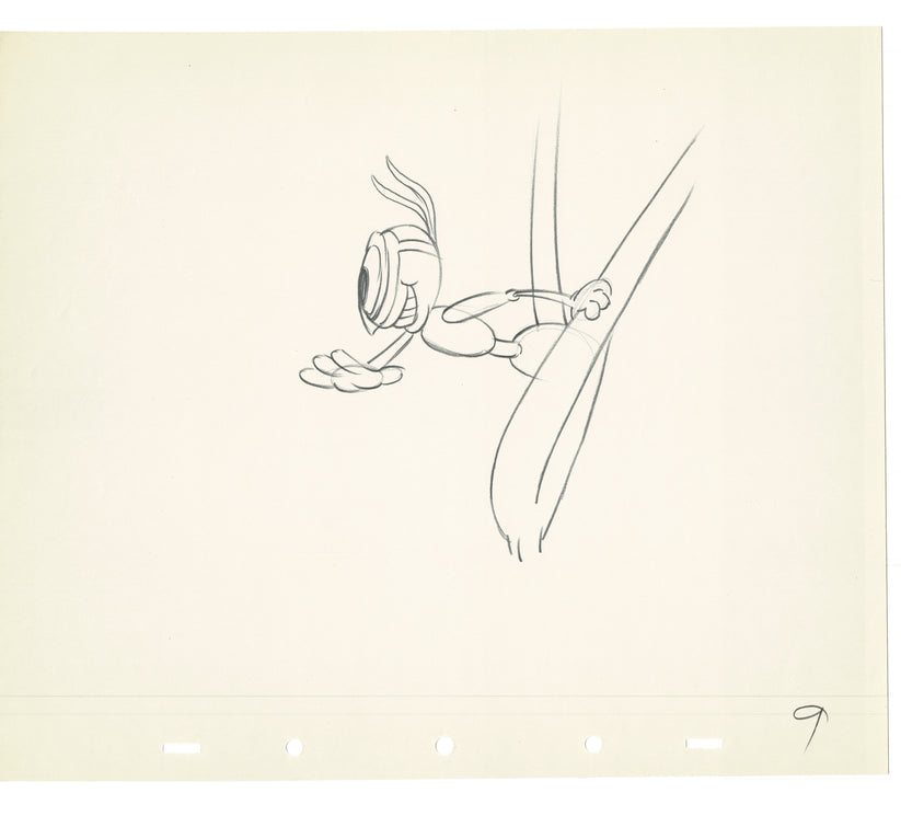 Donald Duck Walt Disney 1939 Pluto Beach Picnic RKO Animation Cel Draw ...