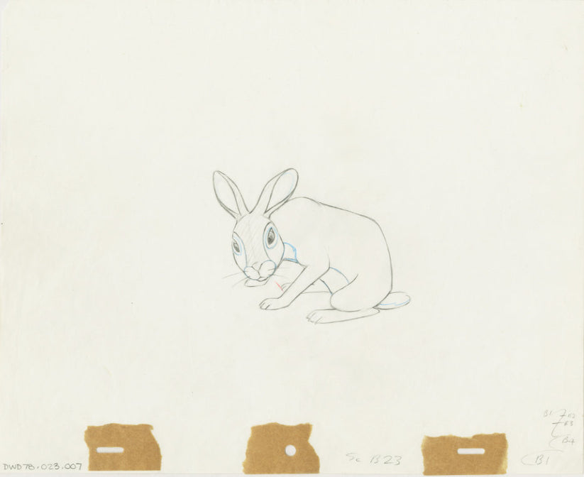 Watership Down Fiver KEY 1978 Production Animation Cel Drawing with LJ ...